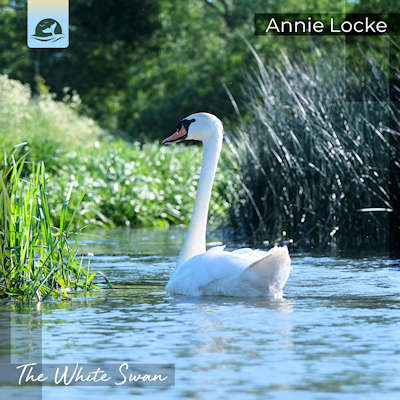The White Swan - Annie Locke Music