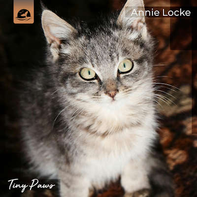 Tiny Paws - Annie Locke Music
